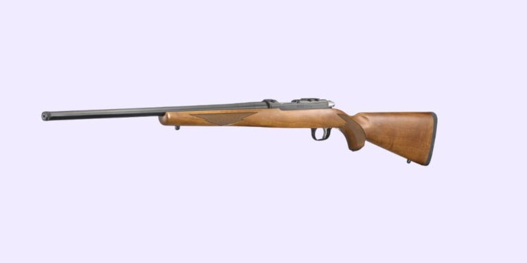 10 Best .17 Hmr Rifles 2022 - New Buying Guide & Review