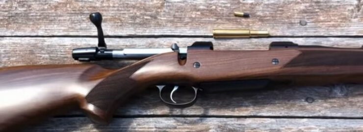 10 Best .17 Hmr Rifles 2022 - New Buying Guide & Review