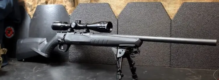 Best .17 HMR Rifles Review in January 2021 - New Edition