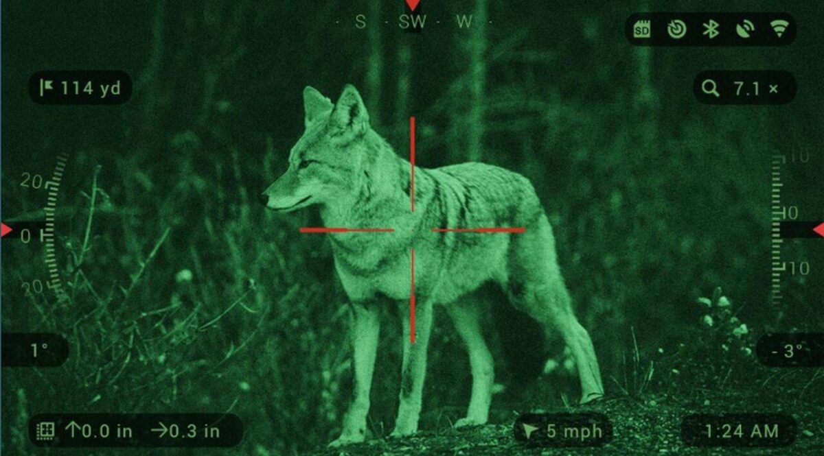 Top 5 Best Night Vision Scope For Coyote Hunting- Expert Guide [2023]
